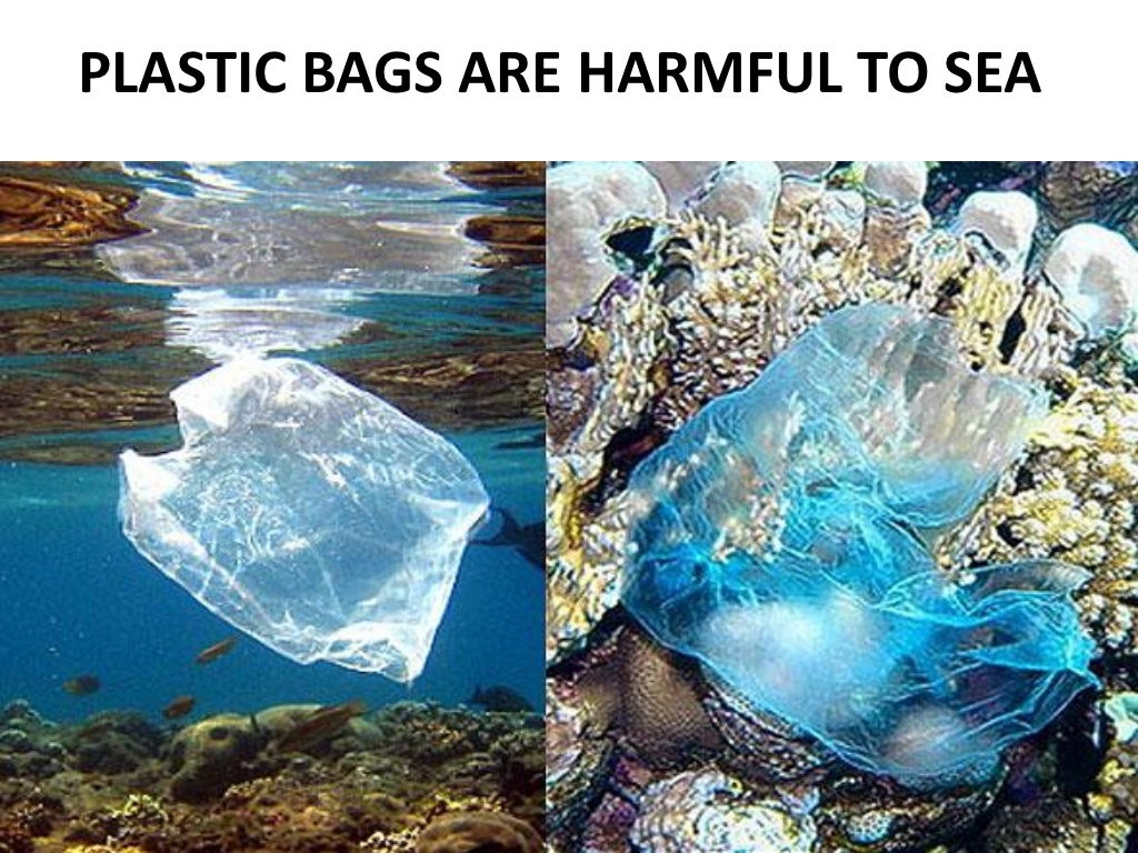 Stop using plastic bags
