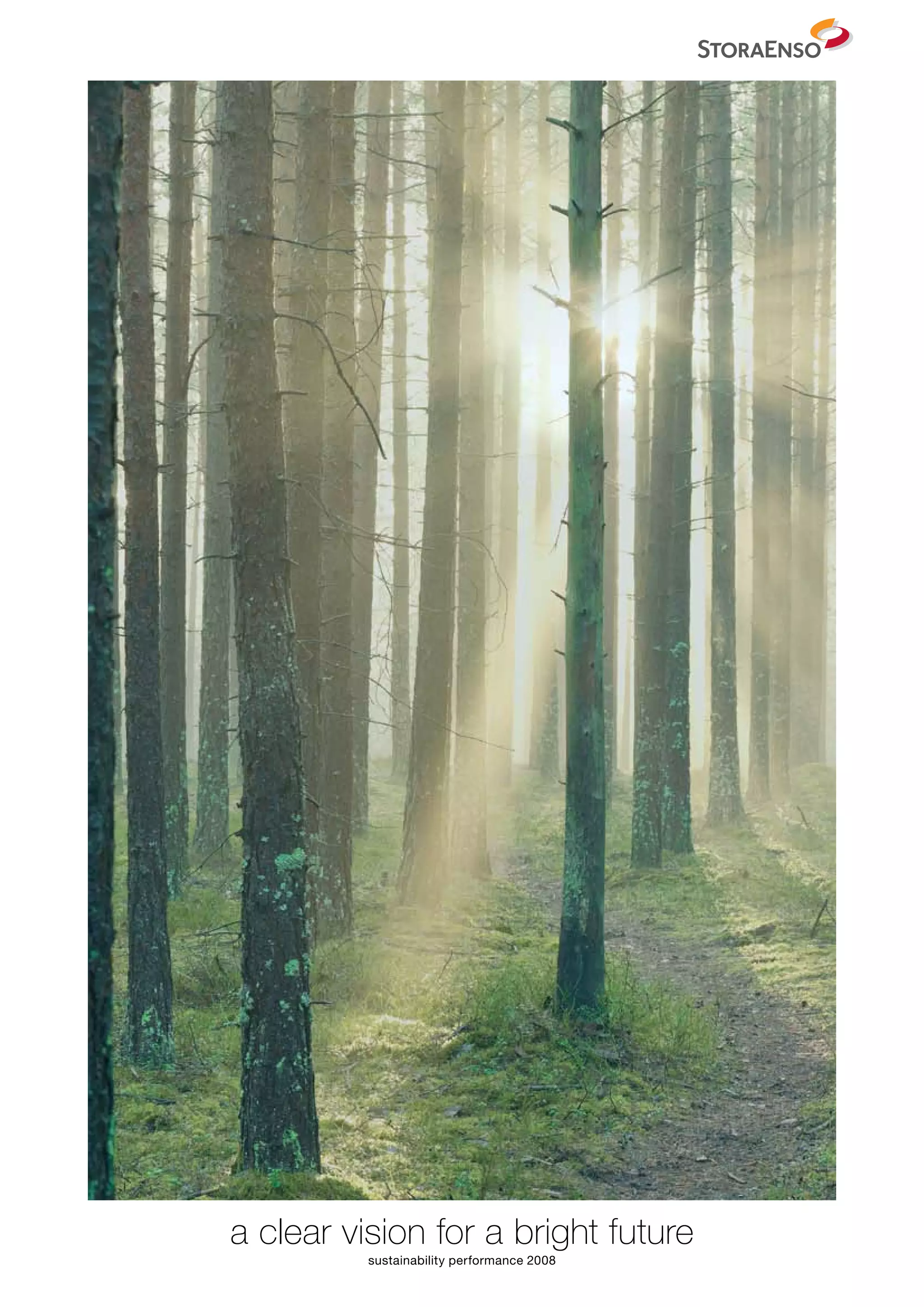 Stora Enso Sustainability Performance Report 2008 | PDF