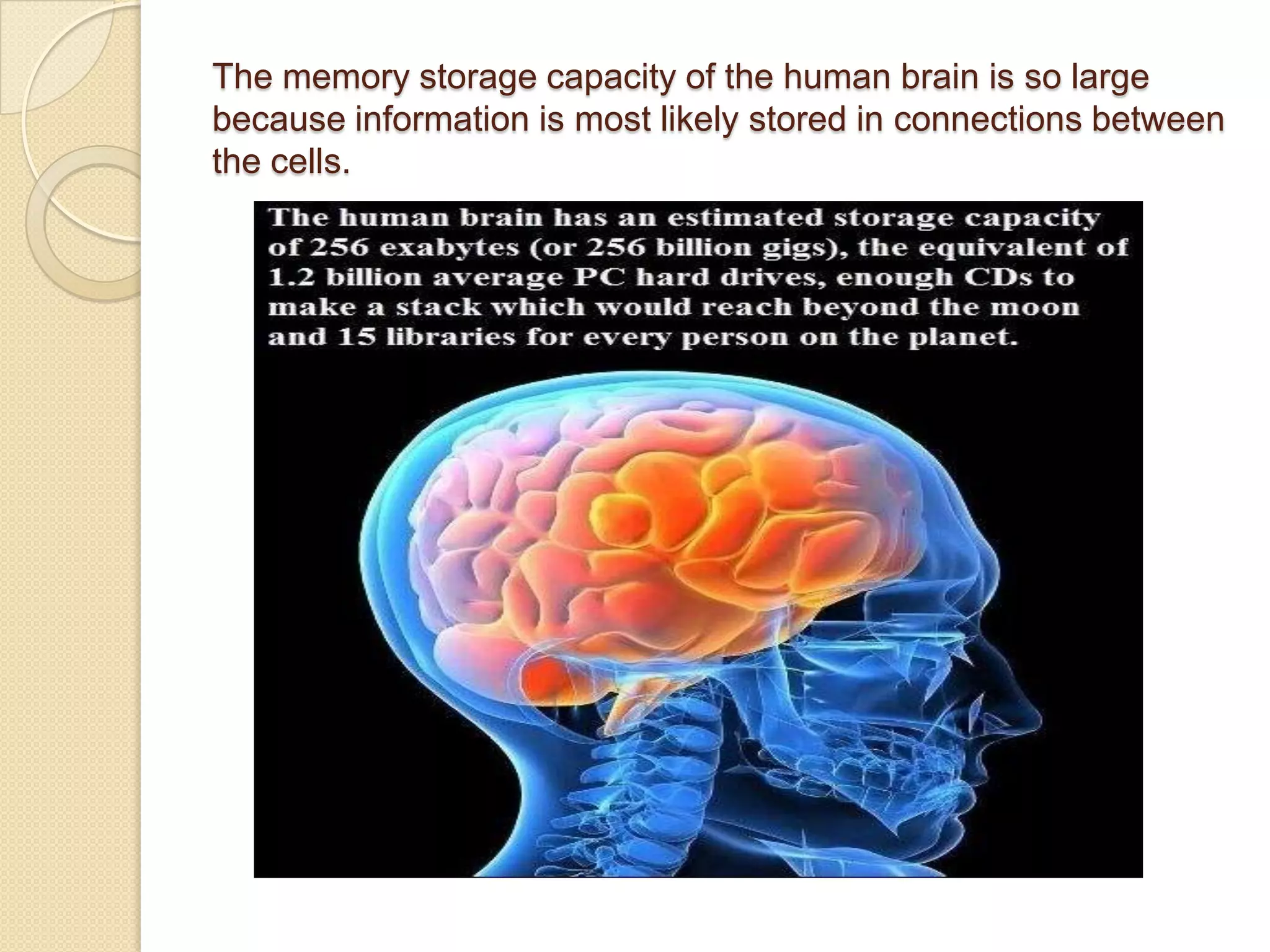 Memory Storage Capacity of Human Brain | PPTX