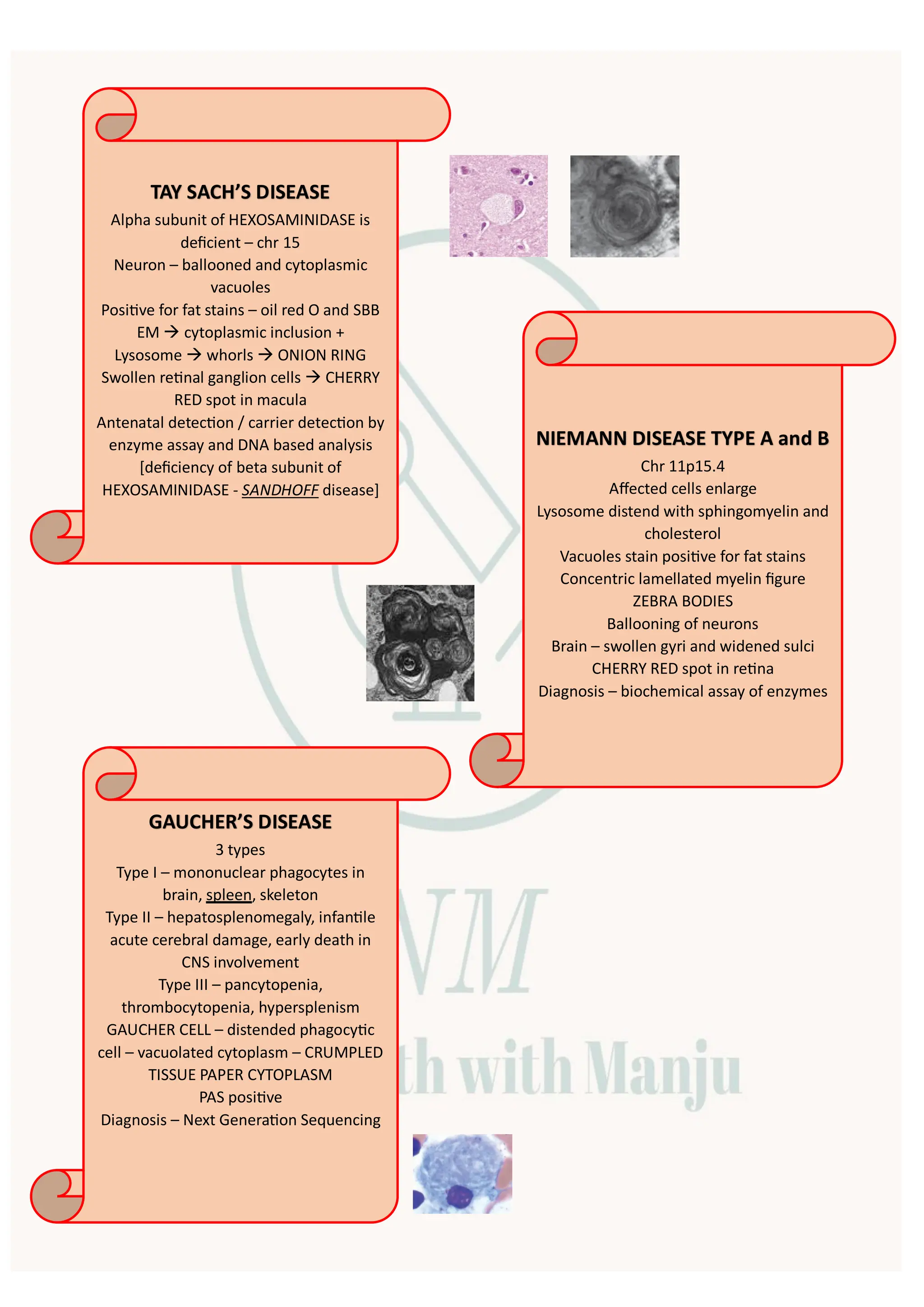 storage disorders. .pdf