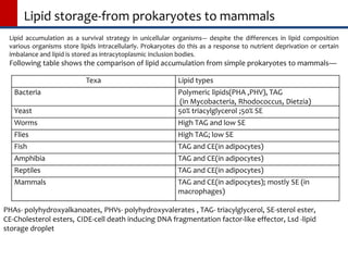 Storage lipids | PPTX