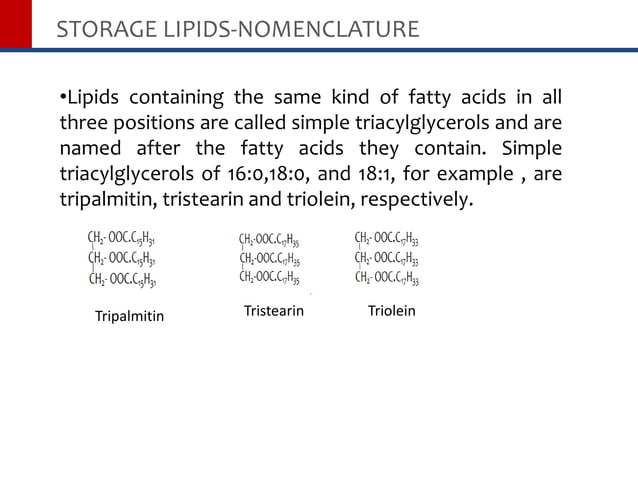 Storage lipids | PPTX | Chemistry | Science