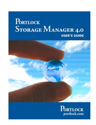 Storage manager | PDF