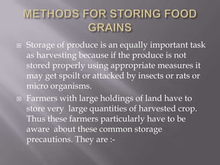 Storage of crop grains | PPTX