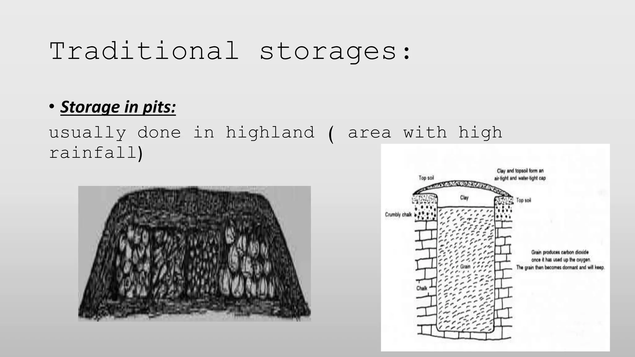 Storage of post harvested fruits and vegetables | PPTX