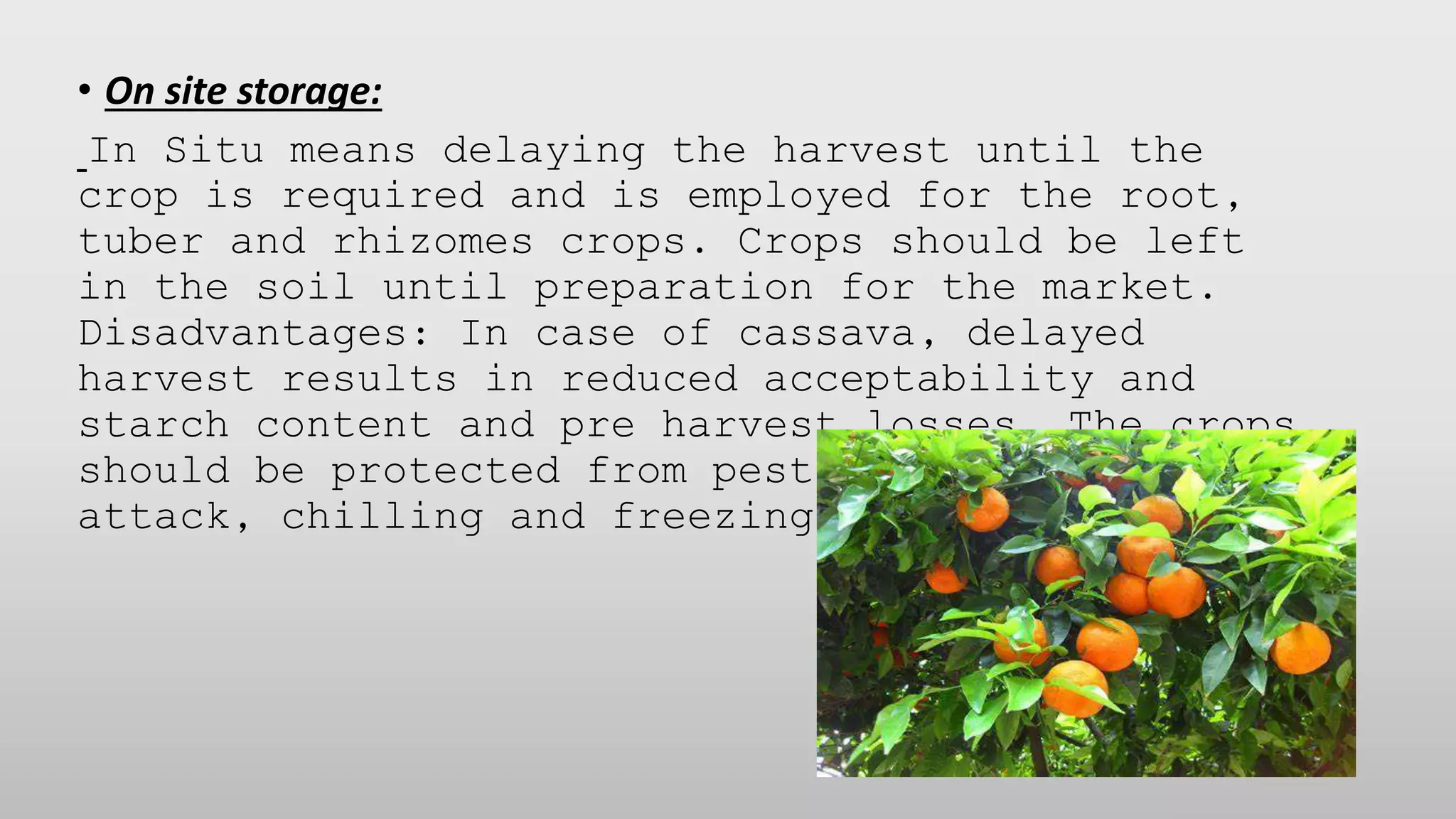 Storage of post harvested fruits and vegetables | PPTX