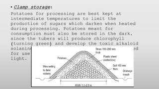 Storage of post harvested fruits and vegetables | PPTX