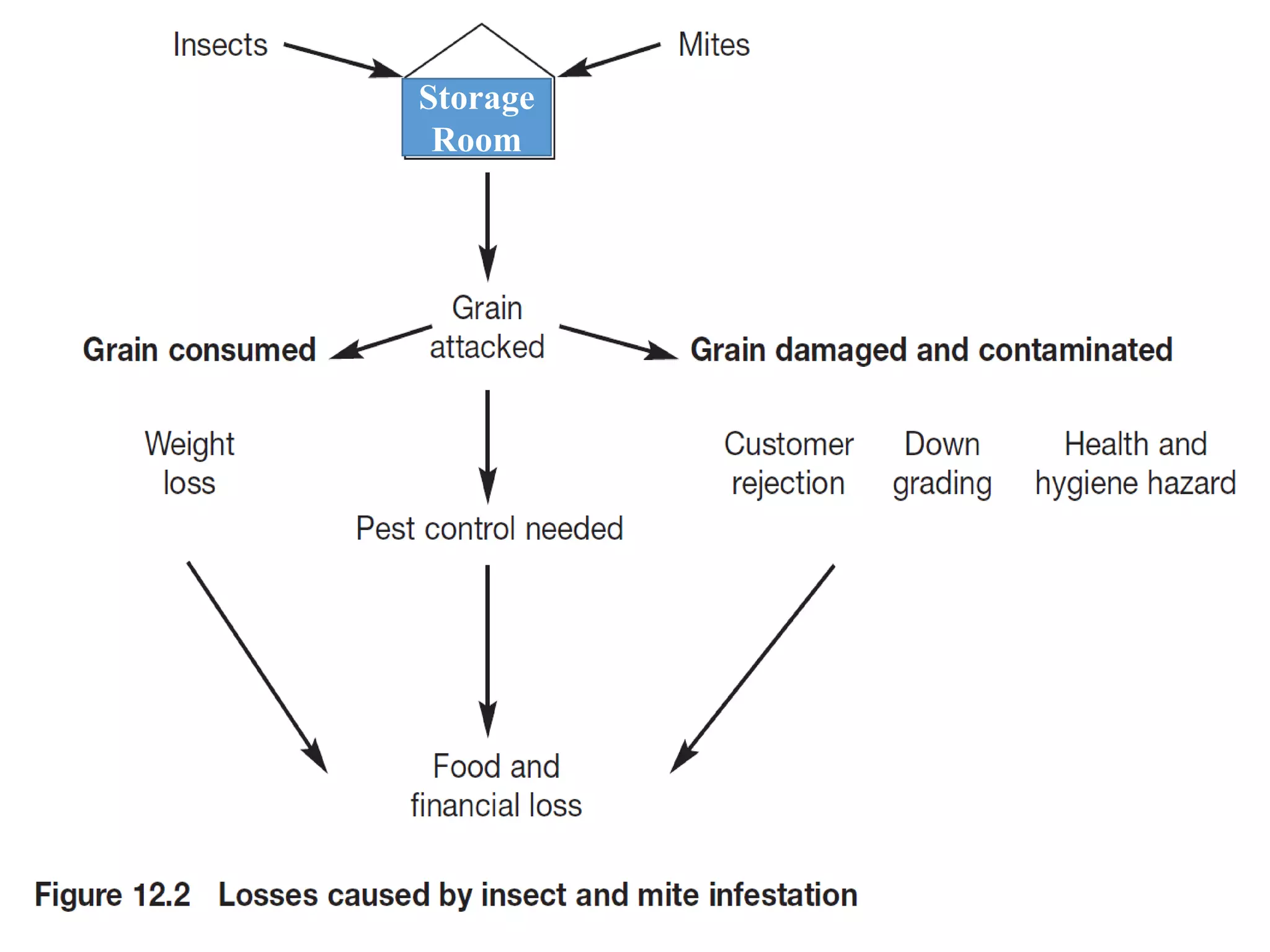 Storage pest management | PPTX