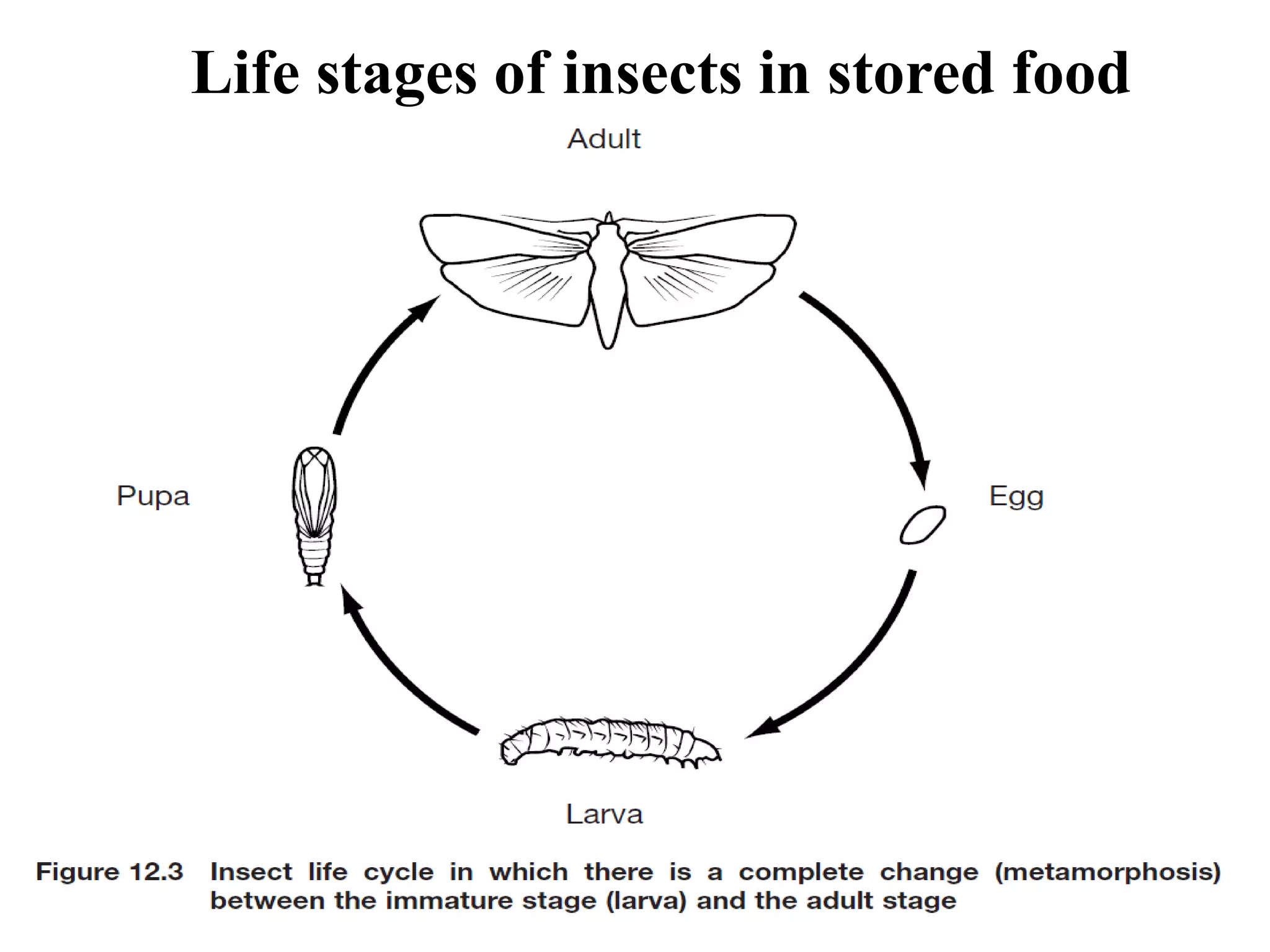 Storage pest management | PPTX