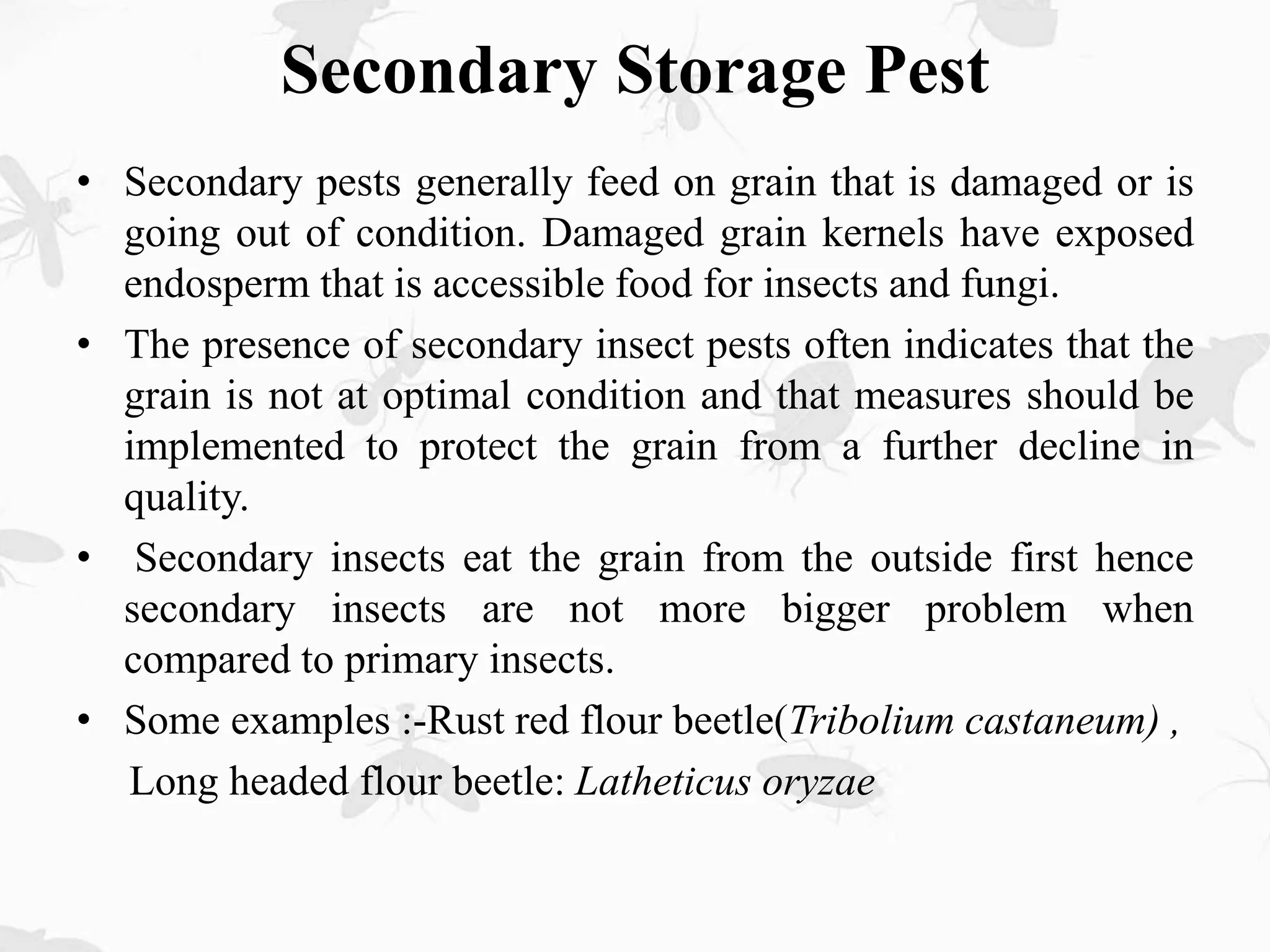 Storage Pests and Its Control.pptx