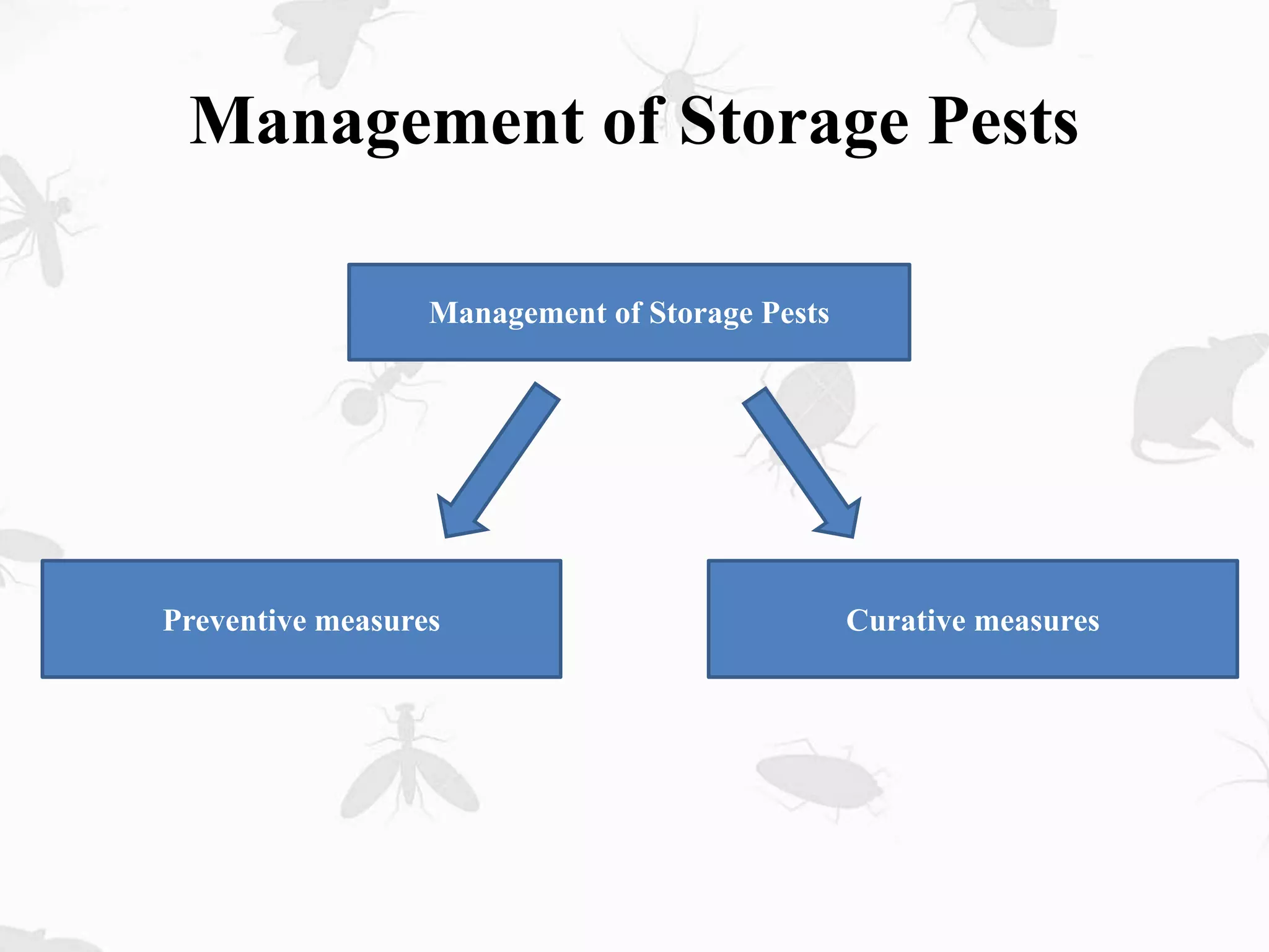 Storage Pests and Its Control.pptx