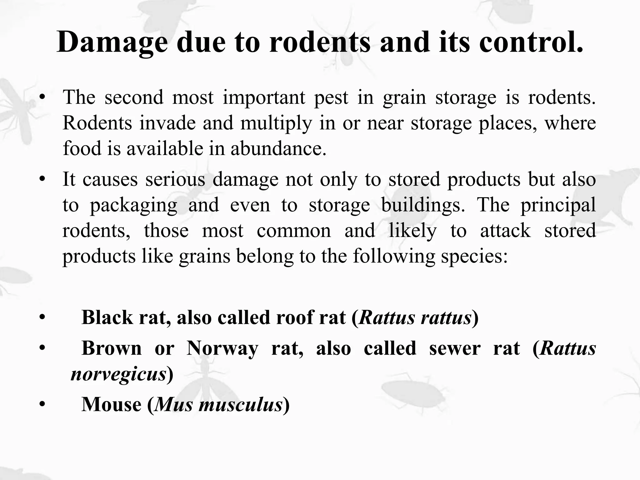 Storage Pests and Its Control.pptx