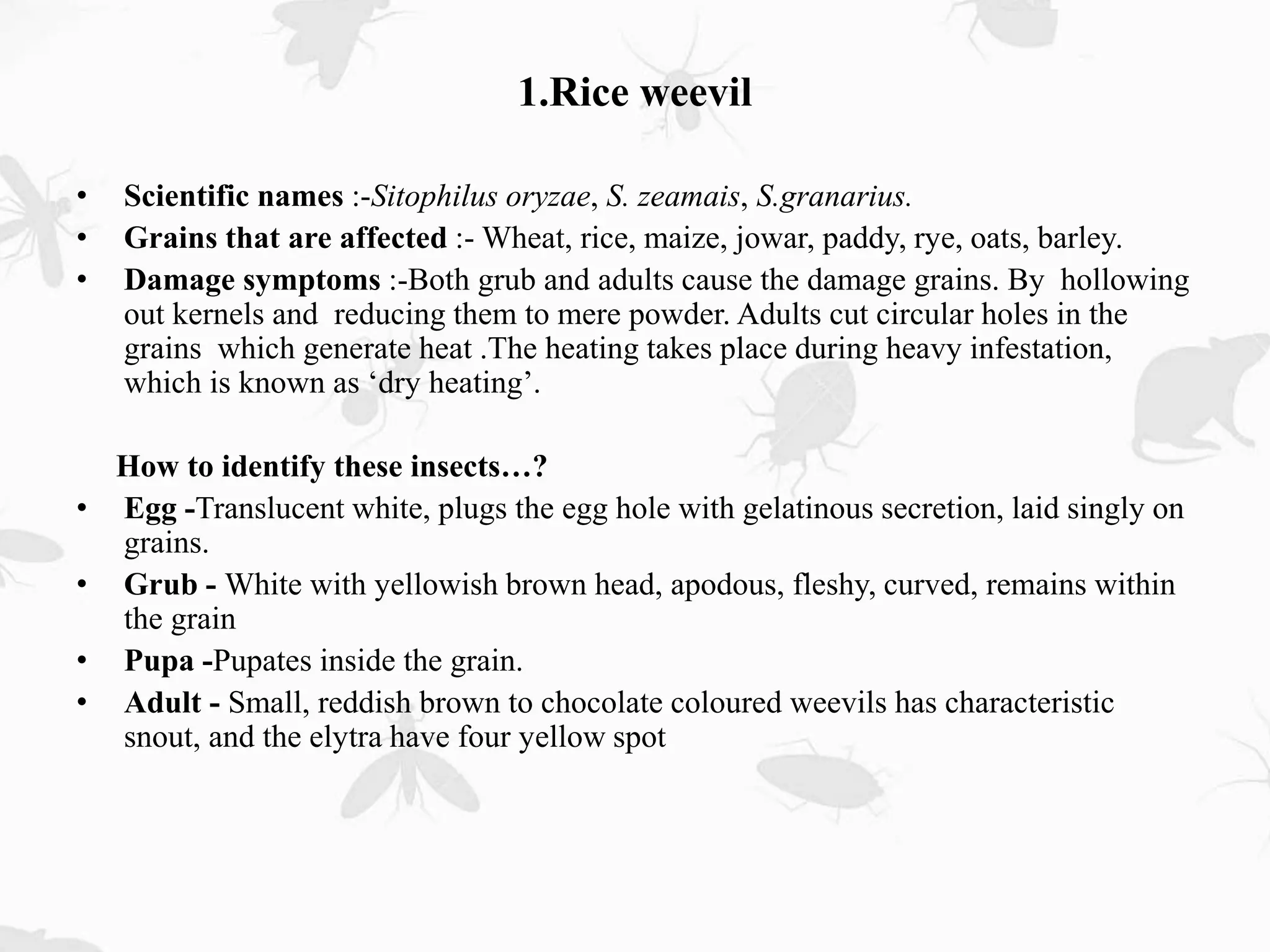 Storage Pests and Its Control.pptx