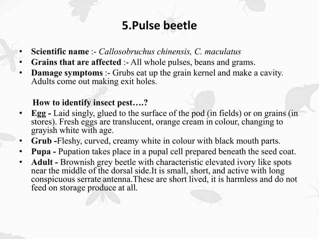 Storage Pests and Its Control.pptx
