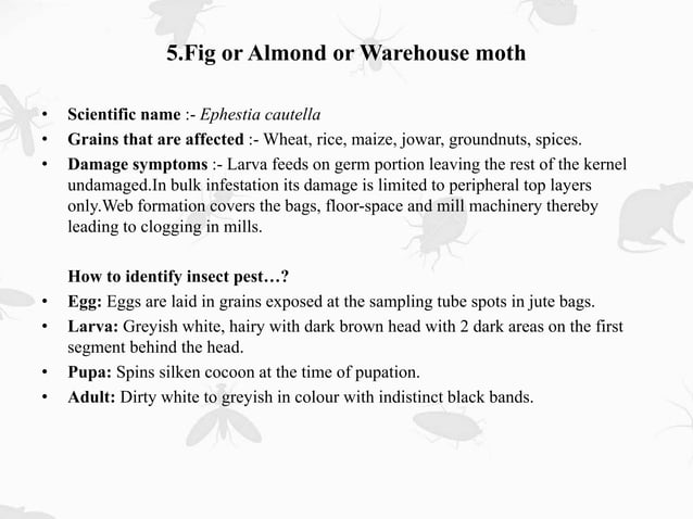 Storage Pests and Its Control.pptx
