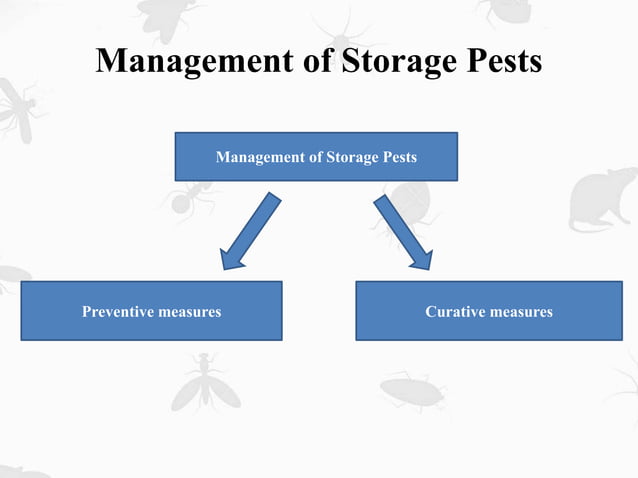 Storage Pests and Its Control.pptx