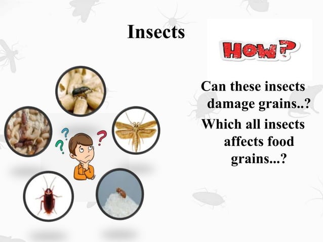 Storage Pests and Its Control.pptx