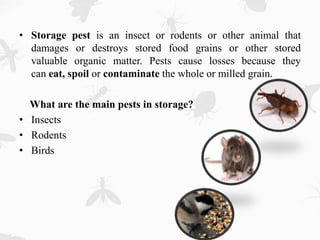 Storage Pests and Its Control.pptx