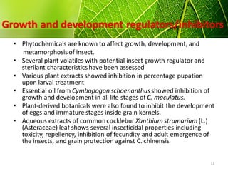 Botanicals in stored product pest managem | PDF