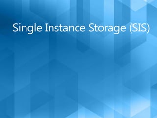 Storage Server & Brach Cache | PPT