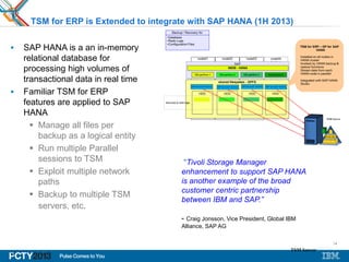 Storage strategy and tsm roadmap | PDF