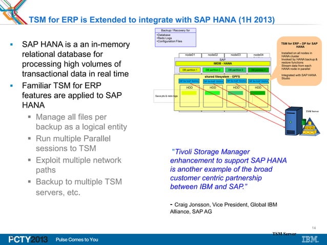 Storage strategy and tsm roadmap | PPT