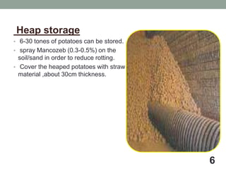 Storage structures | PPTX