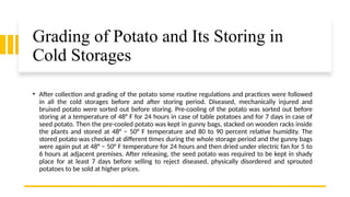 Storage System of Potato in Bangladesh.pptx