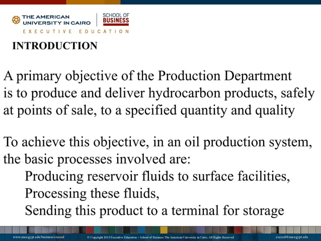 presentation for storage Storage Tank PPT.pdf