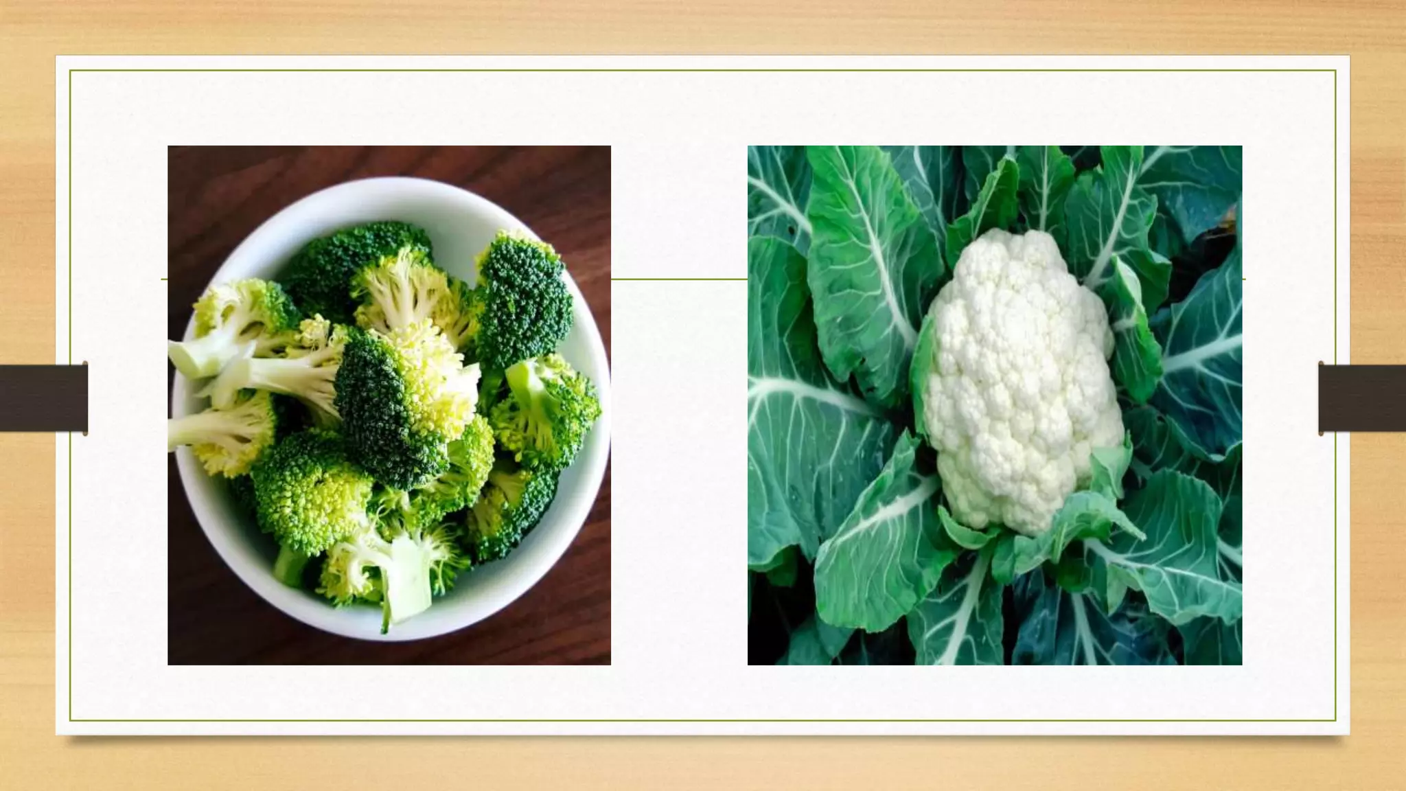 STORE APPETIZERS.pptx