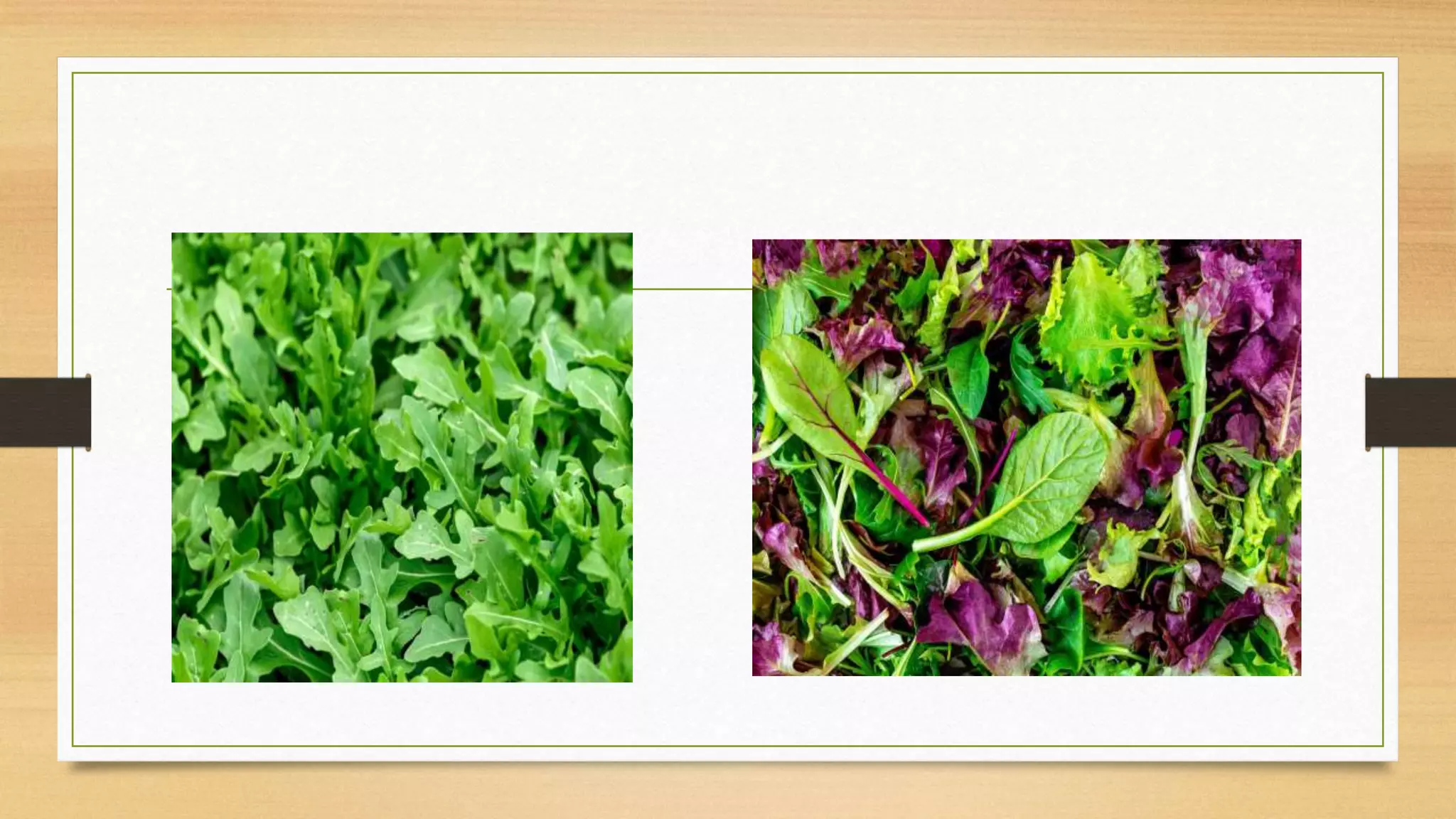 STORE APPETIZERS.pptx