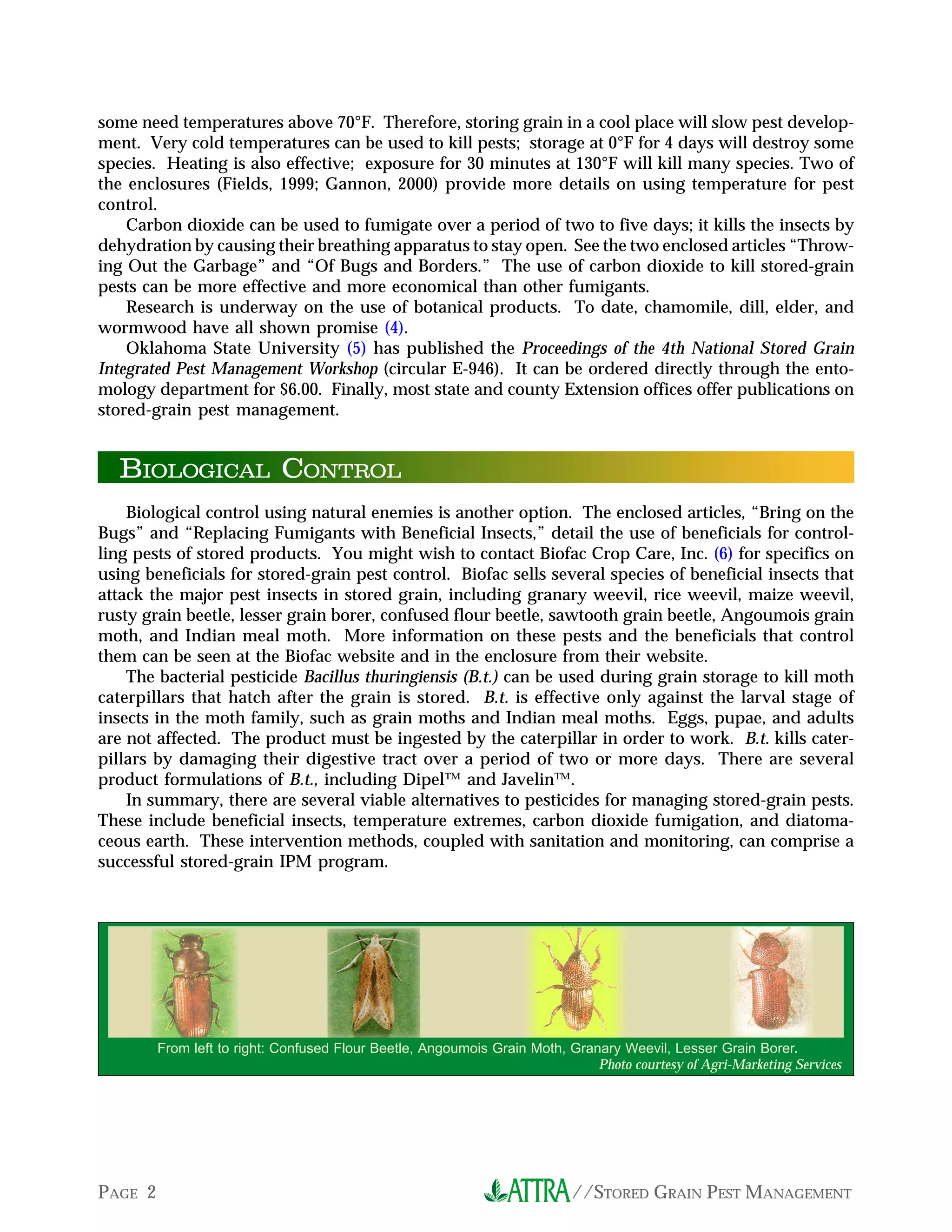 Stored Grain Pest Management | PDF