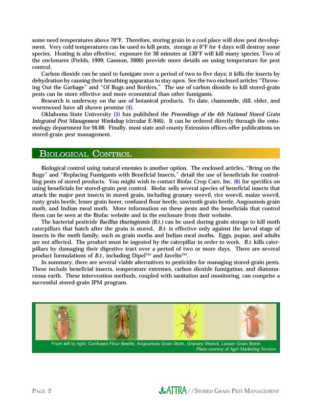 Stored Grain Pest Management | PDF