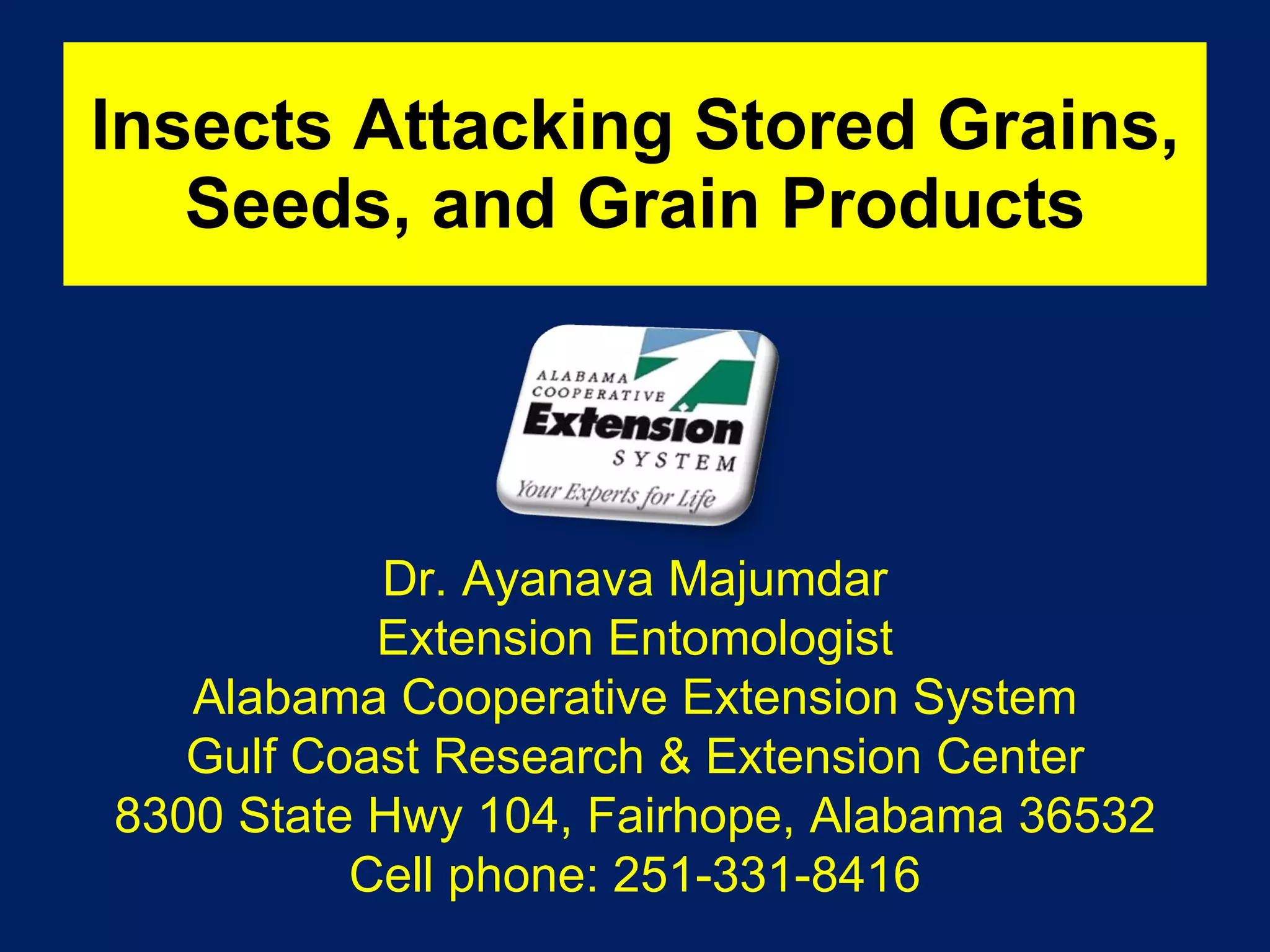 Stored Grain Insect Pests | PPT