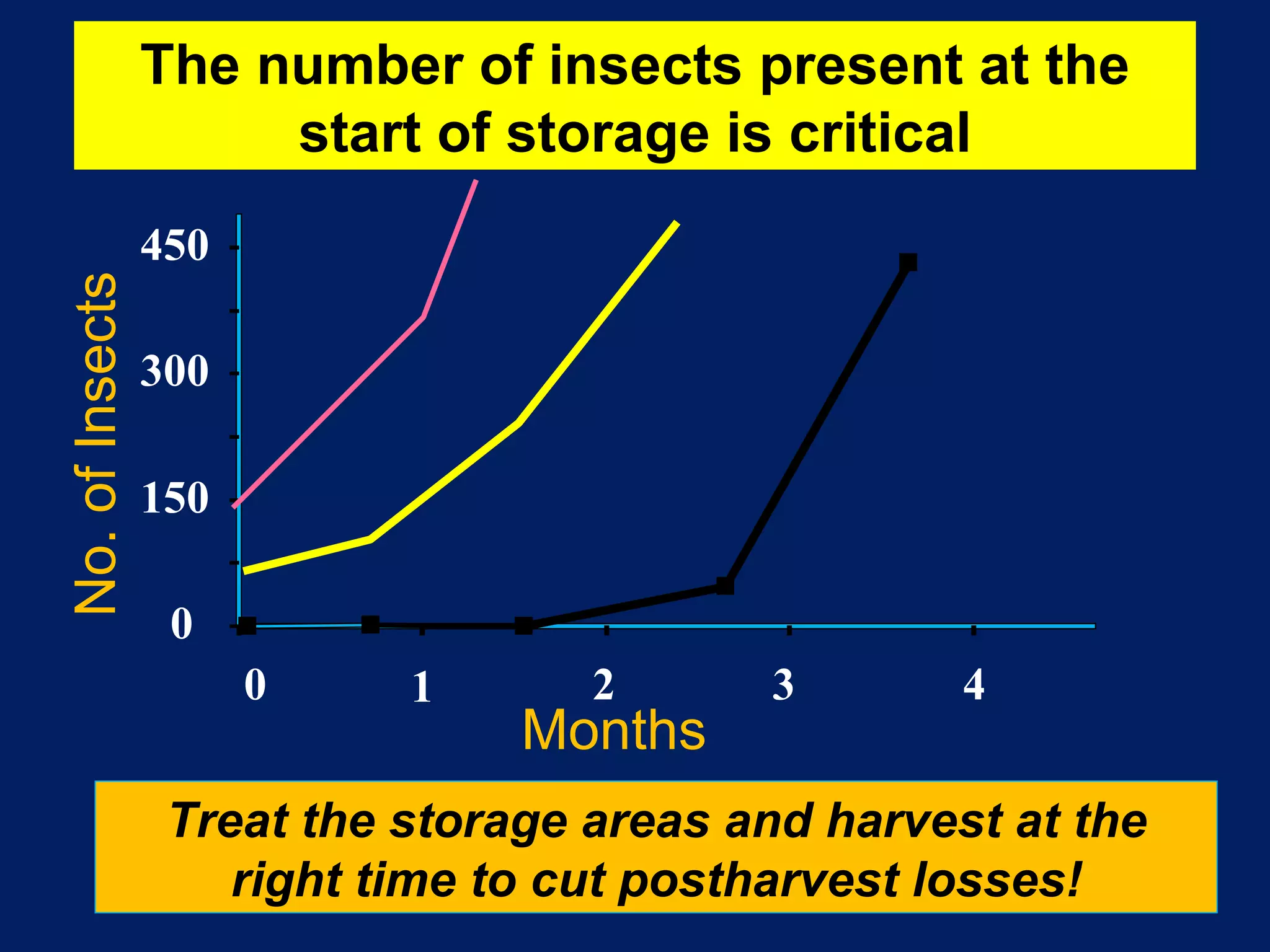 Stored Grain Insect Pests Ppt