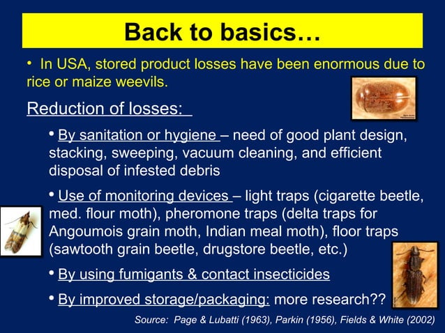 Stored Grain Insect Pests | PPT