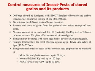 Stored Grain Pest in detail in brief .pptx