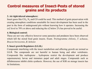 Stored Grain Pest in detail in brief .pptx