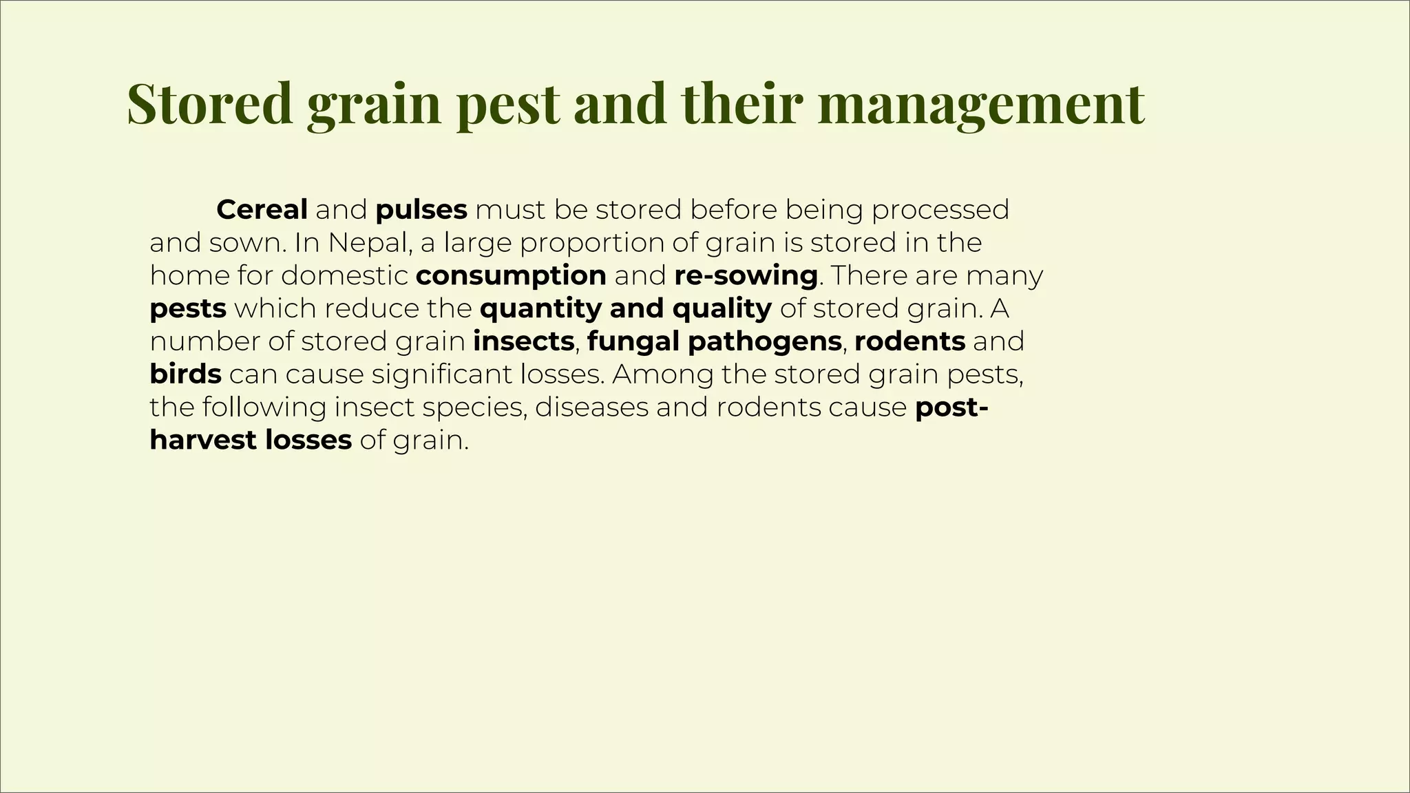 Stored Grain Pest, Nature of Damage, Diseases and their Control ...