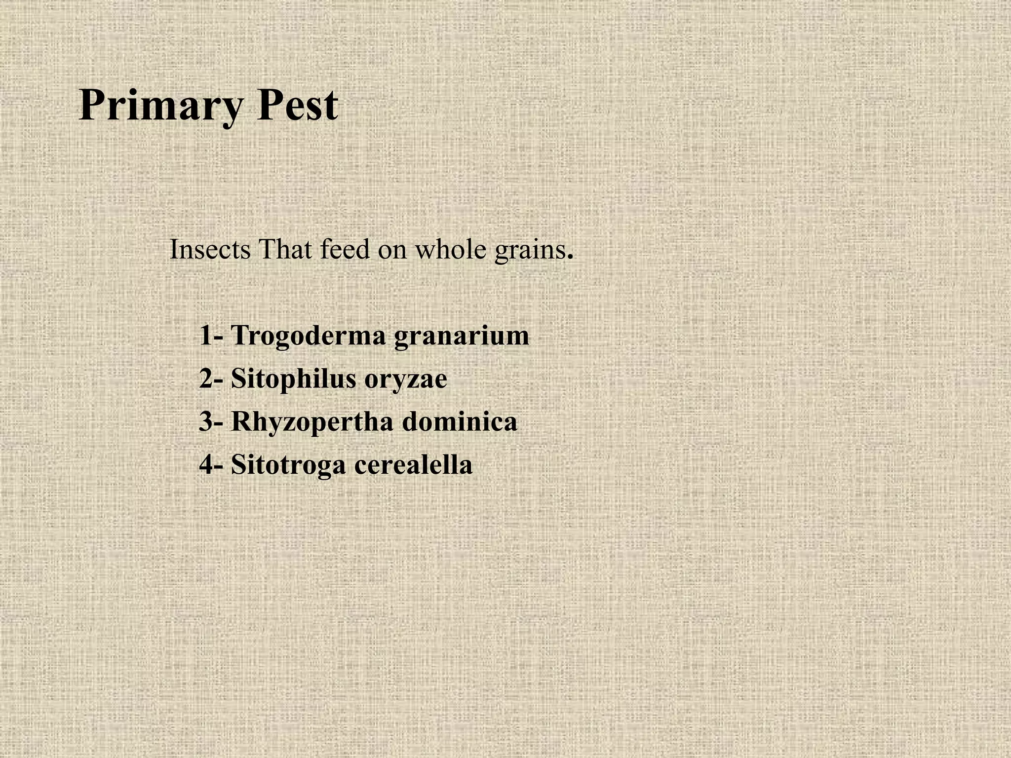 Stored grain pests | PPTX