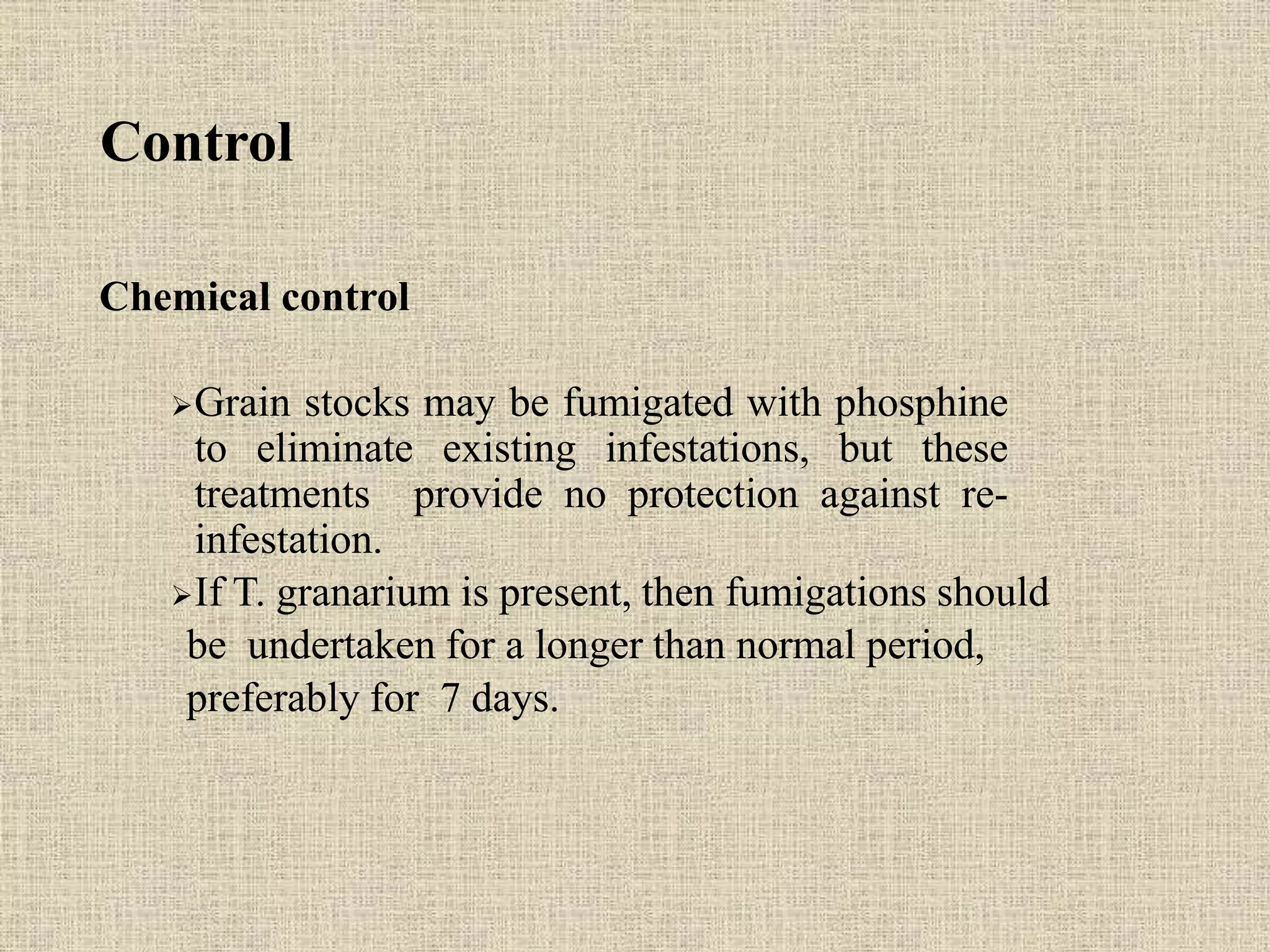 Stored grain pests | PPTX