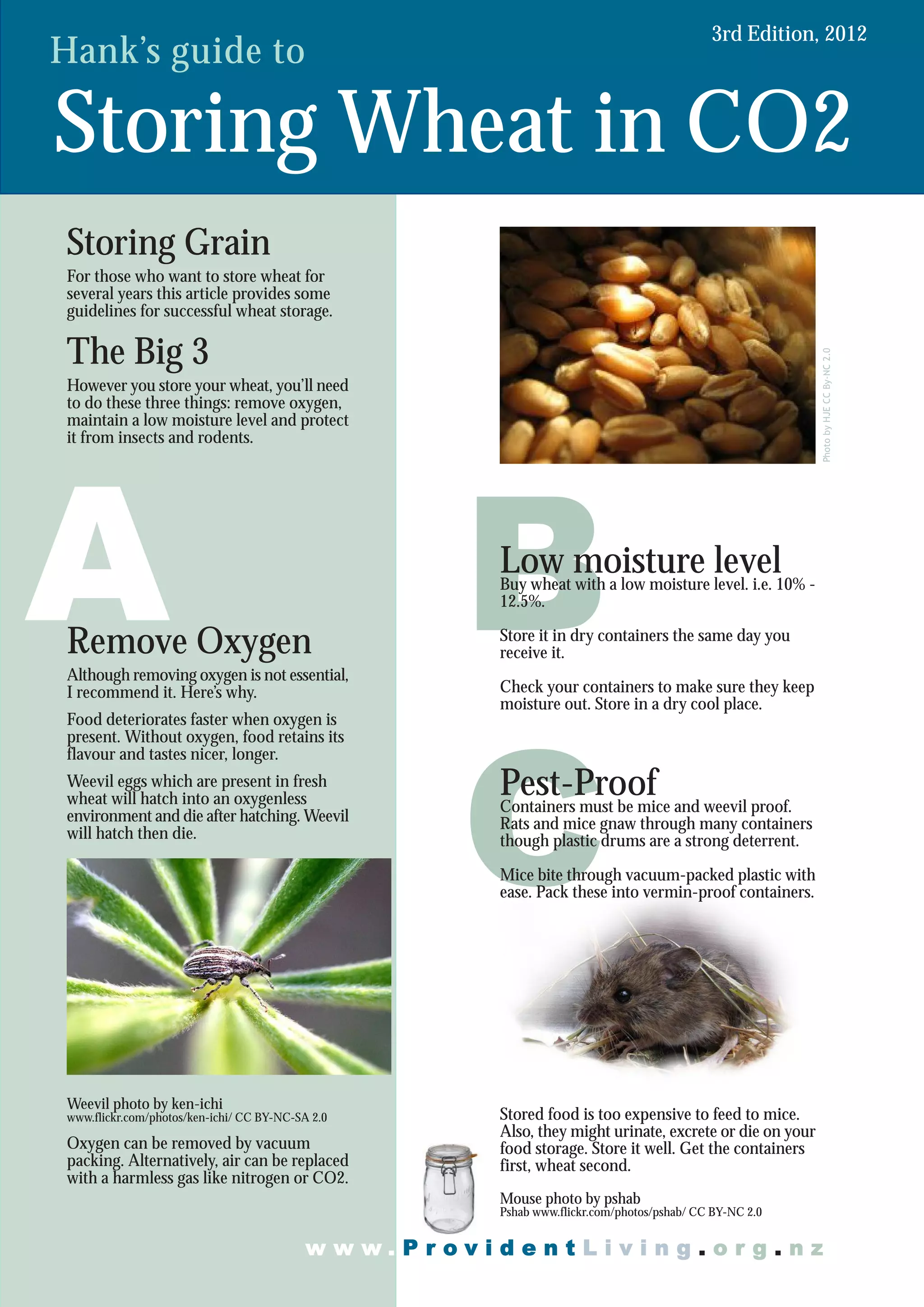 How To Store Wheat | PDF