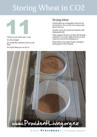 How To Store Wheat | PDF