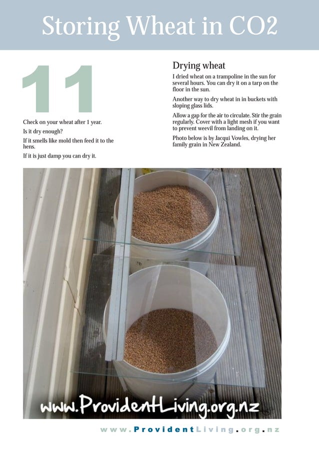 How To Store Wheat | PDF