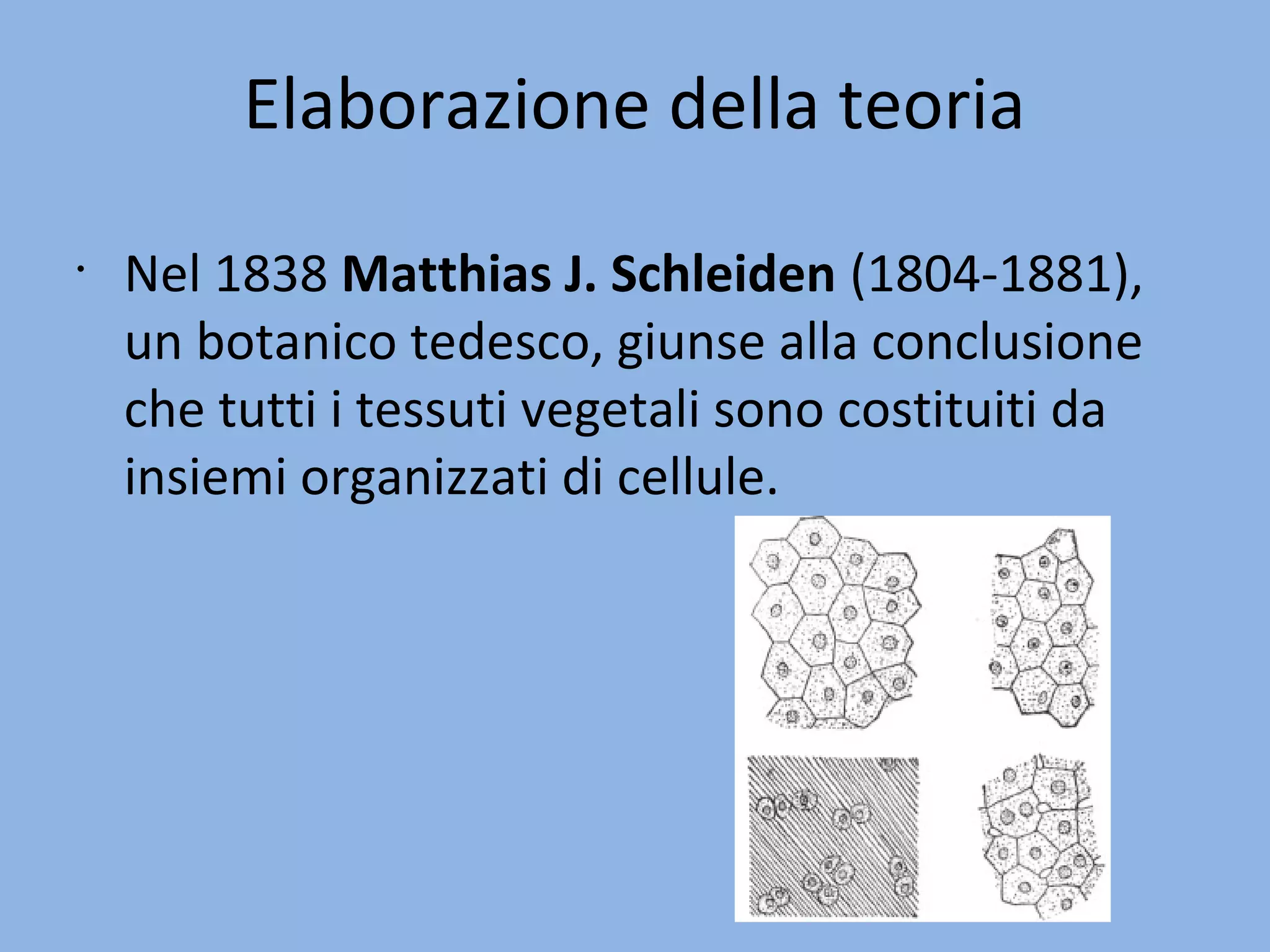 Amanda Bendandi 4Cs Storia della biologia | PPT