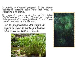 Storia del papiro | PDF