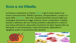 Storia di una lumaca che scoprì l'importanza della lentezza (didattica ...