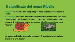 Storia di una lumaca che scoprì l'importanza della lentezza (didattica ...