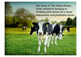 Cow Transformation Stories