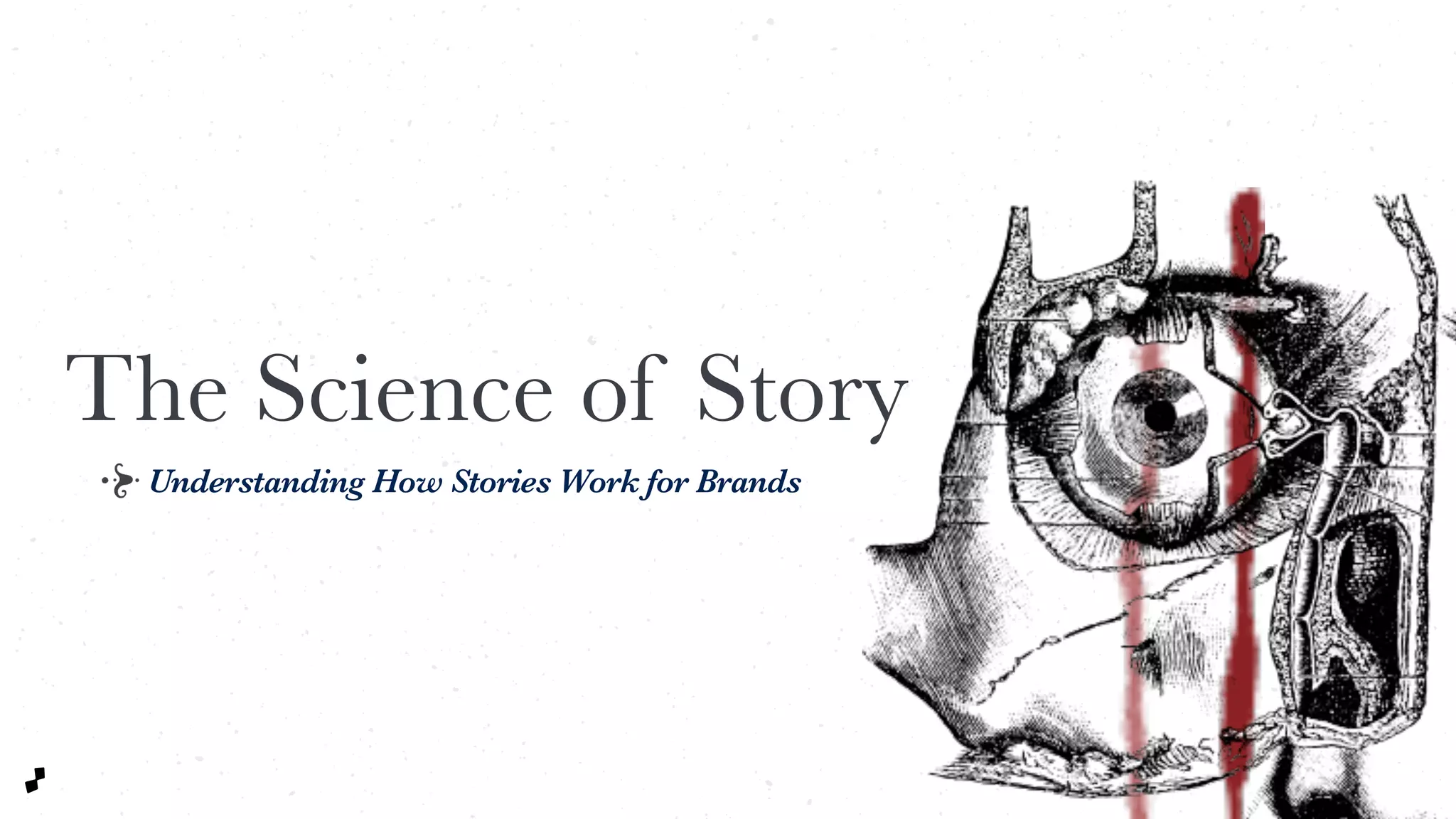 The Science of Story: How Brands Can Use Storytelling To Get More ...